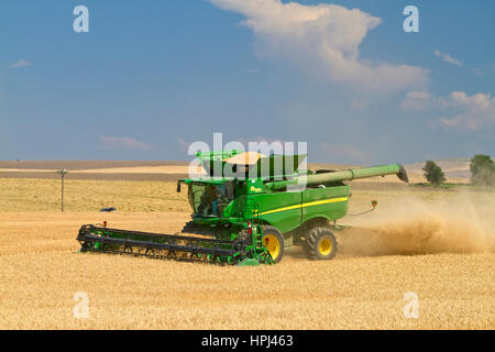 Wheat harvest near Pendleton, Oregon, USA Stock Photo - Alamy