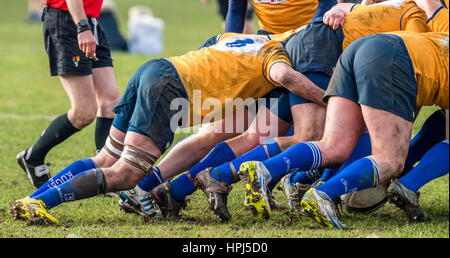 rugby players pushing in a scrum Stock Photo - Alamy