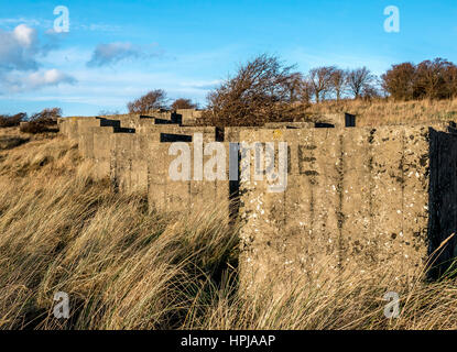Rows of cube anti tank concrete blocks, WWII Coastal defence, Aberlady ...