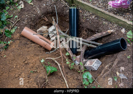 primary school kids building a hibernaculum step by step pictures ...