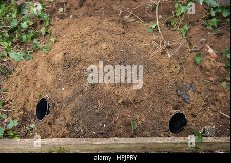 primary school kids building a hibernaculum step by step pictures ...