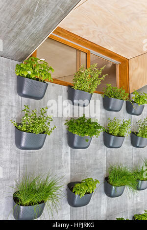 Modern greenhouse with rows of green potted plants and hanging flower ...