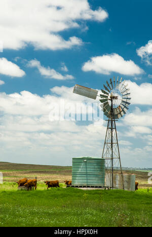 Windmill, water tank, watering trough, Bates Well Ranch, El Camino del ...