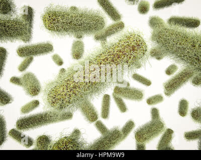 3d rendering stick shape bacteria cells Stock Photo - Alamy