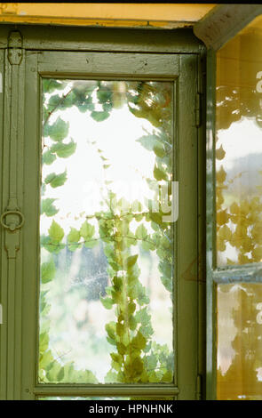 Plants indoors growing by a window Stock Photo - Alamy
