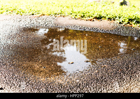 wet concrete floor after rain Stock Photo - Alamy