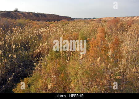 Bsor river in the Western Negev, Israel Stock Photo - Alamy