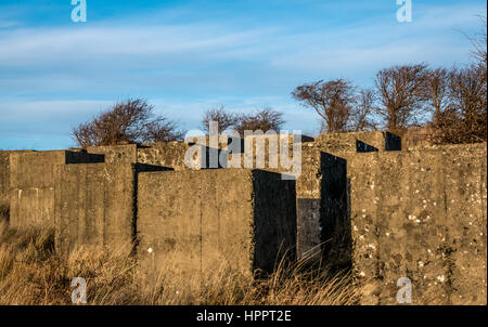 Rows of cube anti tank concrete blocks, part of WWII coastal defence ...