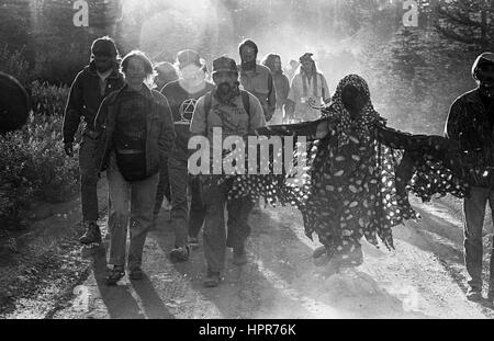Earth First! Redwood Summer. Sequoia National Forest. 1989 A group of ...