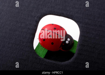 Fake red ladybug made of wooden material Stock Photo - Alamy