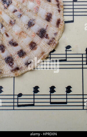 Seashells and paper with some musical notes Stock Photo - Alamy