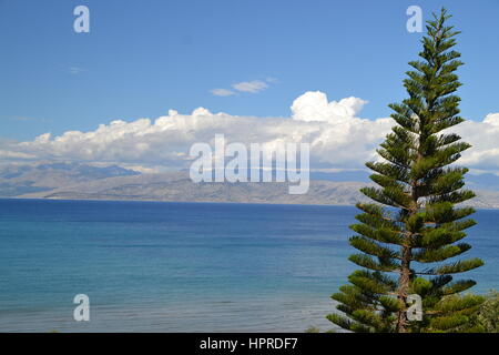 Interesting colorful plant at Corfu island, Greece Stock Photo - Alamy