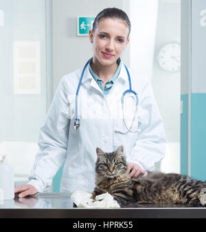 Young female veterinary caring of a cute cat Stock Photo - Alamy
