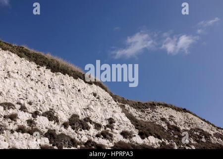 Chalk cliff erosion along the undercliff walk between Brighton and ...