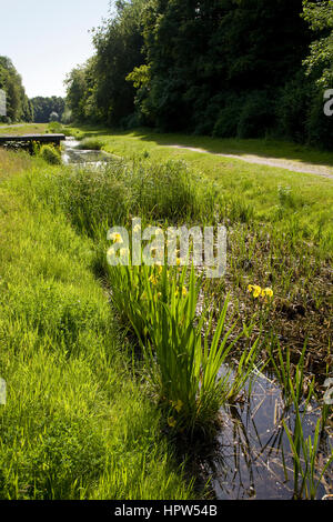 Europe, Germany, Duisburg, the renaturated river Emscher at the ...