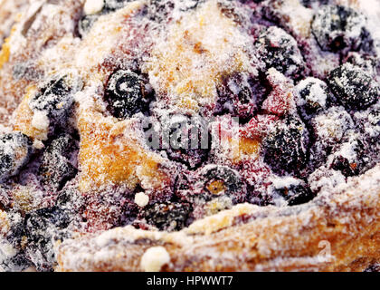 Delicious bun with currant photographed close up Stock Photo - Alamy