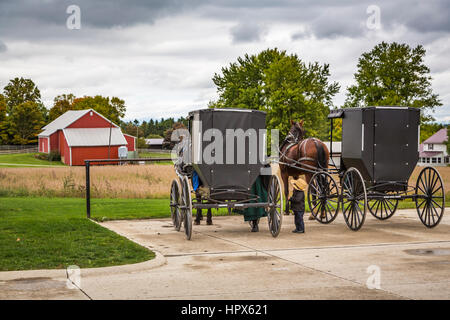 Amish lady with horse and Buggy Stock Photo - Alamy