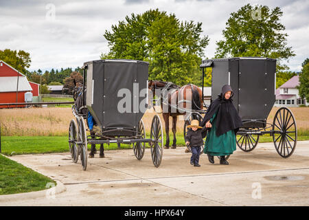 Amish lady with horse and Buggy Stock Photo - Alamy