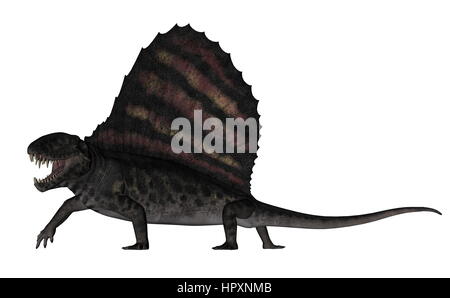 Dimetrodon dinosaur walking isolated in white background - 3D render ...