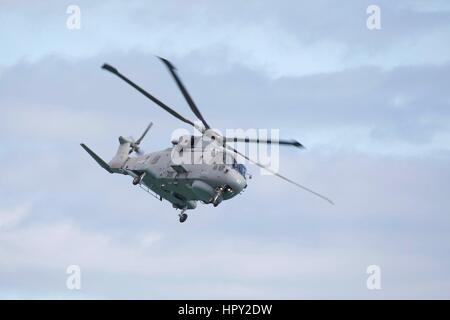 Royal Navy Merlin MK2 Helicopter operating from RNAS Culdrose Stock ...