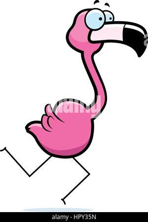 Running Flamingo bird vector illustration Stock Vector Image & Art - Alamy