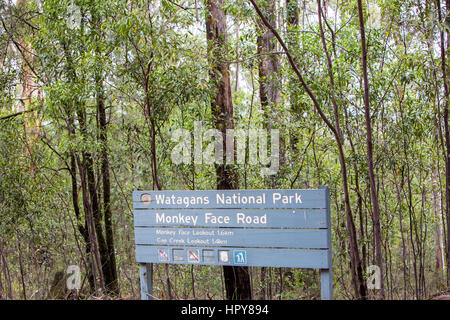 Watagans National Park in the central coast region of New south Stock ...