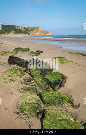 Johnny Flintons Harbour and Osgodby Point (Knipe Point) in Cayton Bay ...