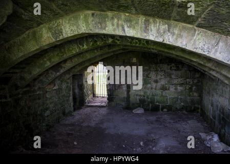 The ruins of Ayton Castle, West Ayton, near Scarborough, North Stock ...