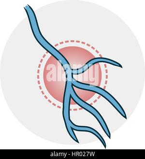 Vector illustration of a veins of the arm Stock Vector Image & Art - Alamy