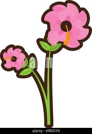 Vector of yellow geranium flower Stock Vector Image & Art - Alamy