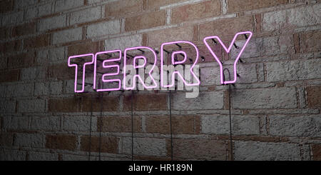 TERRY - fluorescent Neon tube Sign on brickwork - Front view - 3D ...