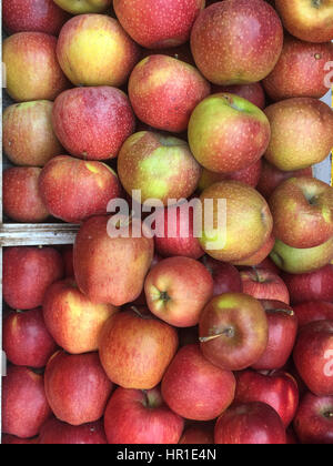 Nepal red apples Stock Photo - Alamy