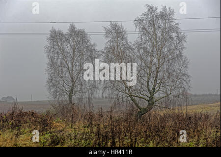 A1 Highway;E85;E67,Lithuania.Magistralinis kelias A1 .Lietuva ...