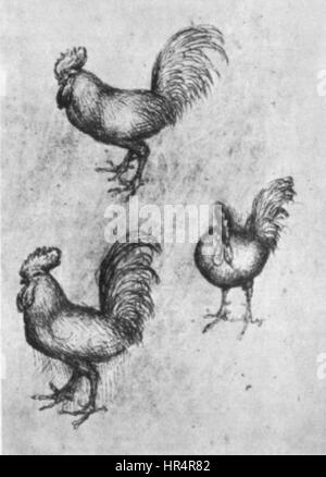 Pisanello's 'Disegni' collection, housed in the Louvre, consists of his ...