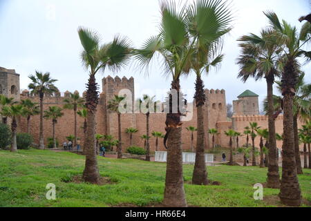 Terracota wall and palm trees on a grass at main gate to Kasbah of the ...