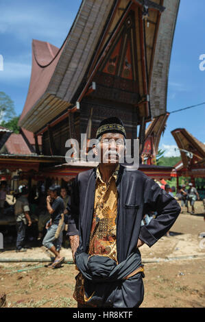 During a traditional ritual funeral of the Tana Toraja the men of the ...