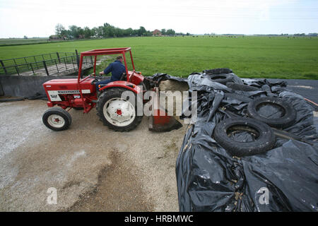 grass (hay) is cut and conserved under plastic Stock Photo - Alamy