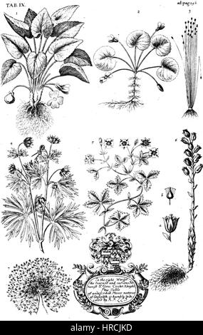 Robert Plot Natural History of Oxfordshire Stock Photo - Alamy