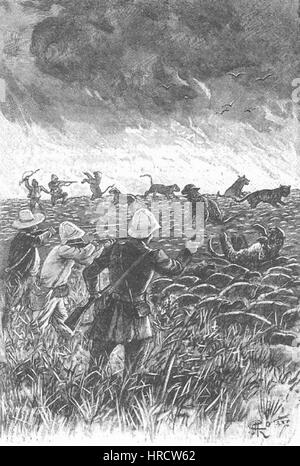 'The Mighty Orinoco' by George Roux is an illustration depicting the ...