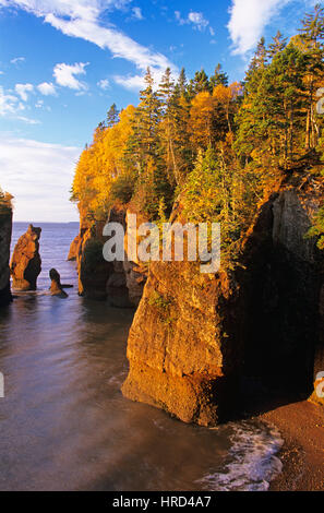 Hopewell Rocks, Shepody Bay, New Brunswick, Canada Stock Photo - Alamy