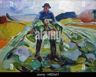 Man in the Cabbage Field, 1916 Stock Photo - Alamy