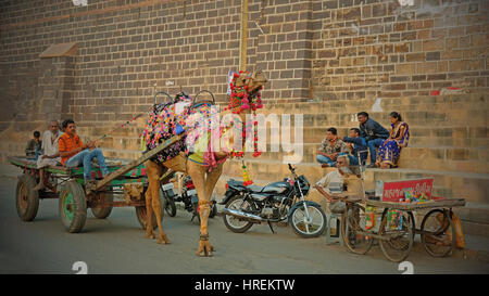A decorated camel cart in Gujarat, India Stock Photo - Alamy