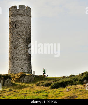Herring Tower at Langness, Isle Of Man. Space for copy Stock Photo - Alamy