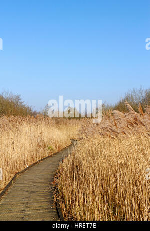 The Norfolk Wildlife Trust Visitor Centre overlooking Ranworth Broad ...
