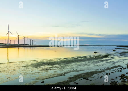 Gaomei wetlands during sunset with wind turbine background in Taiwan ...