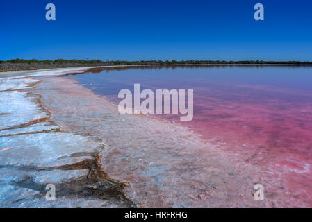 Pink Salt Lake Becking Landscape. Murray-Sunset National Park Stock ...