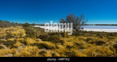Pink Salt Lake Becking Landscape. Murray-Sunset National Park, Victoria ...