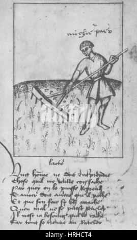 Agriculture, 15th Century Stock Photo - Alamy