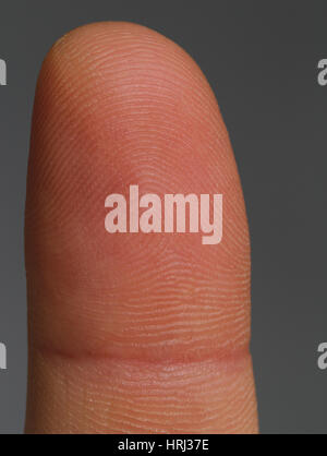 Fingertip showing Fingerprint Ridges Stock Photo - Alamy