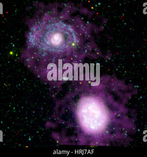 NGC 4625, Spiral Galaxy and NGC 4618, Dwarf Galaxy Stock Photo - Alamy